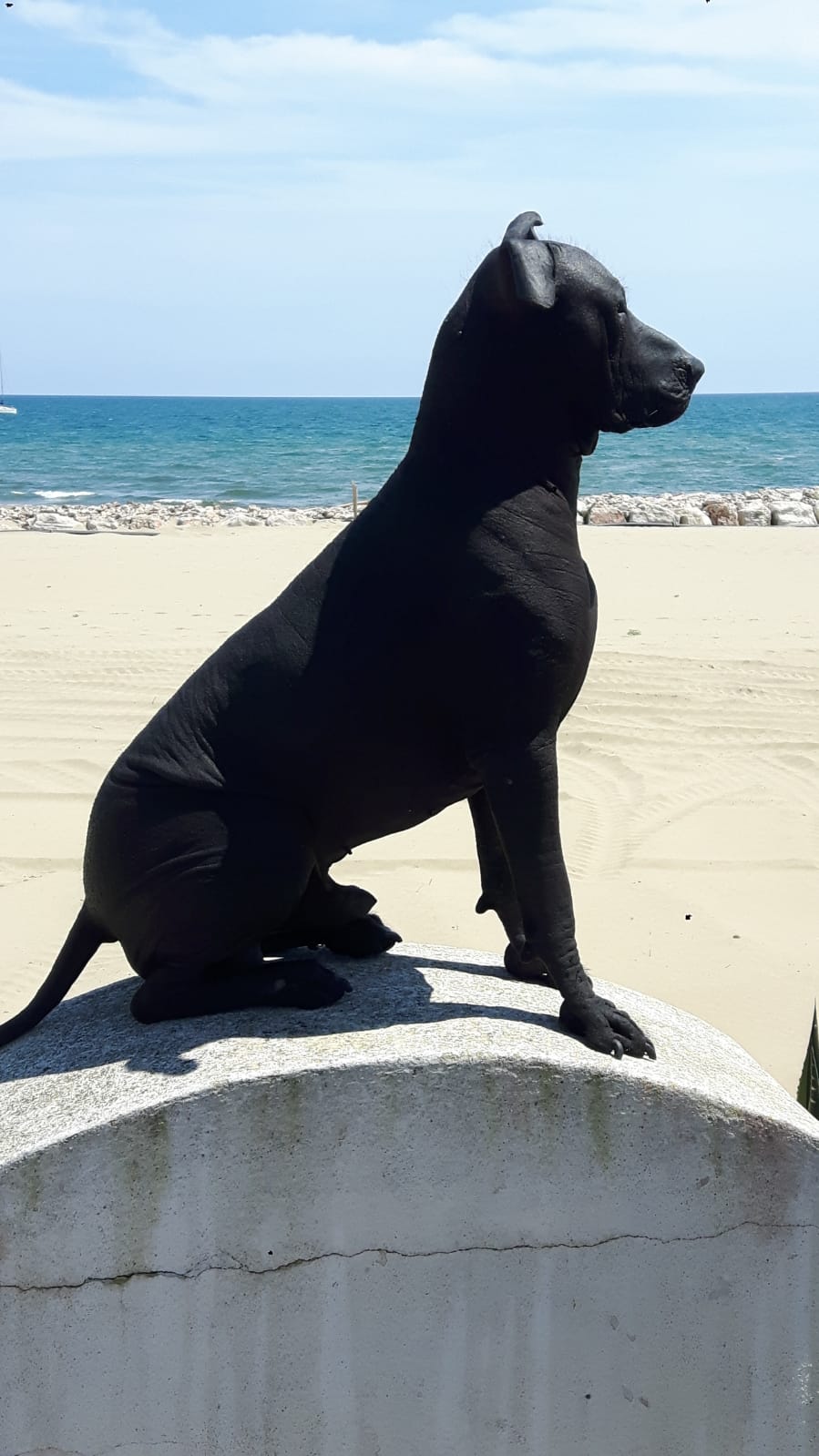 - Perros Calvos en Uruguay